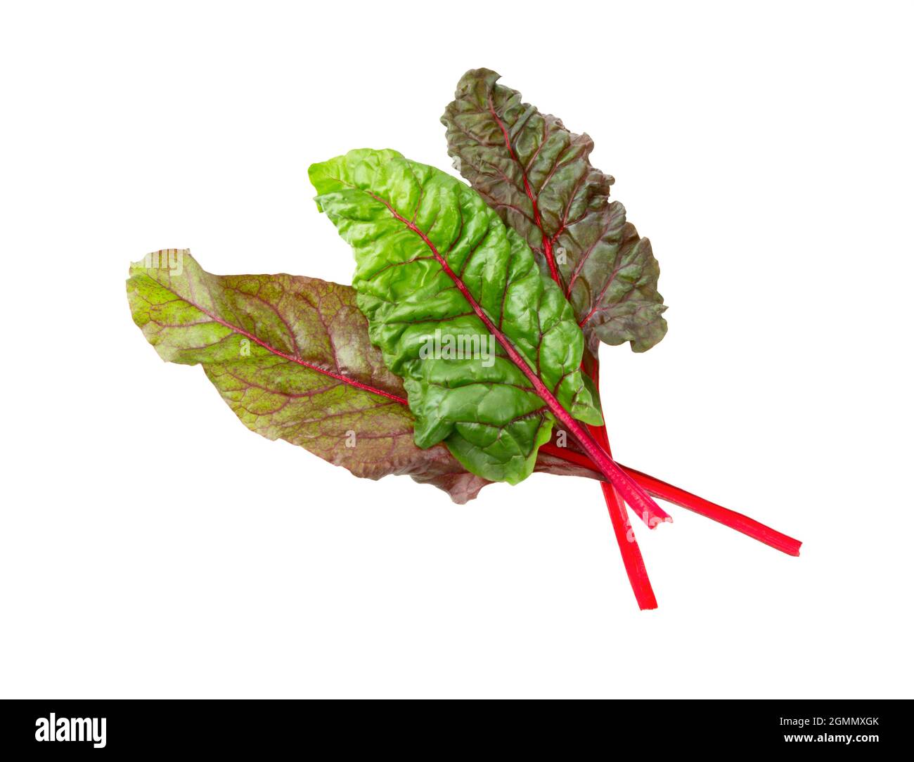 Feuilles de betterave. Feuilles de betterave, feuilles de betterave ...