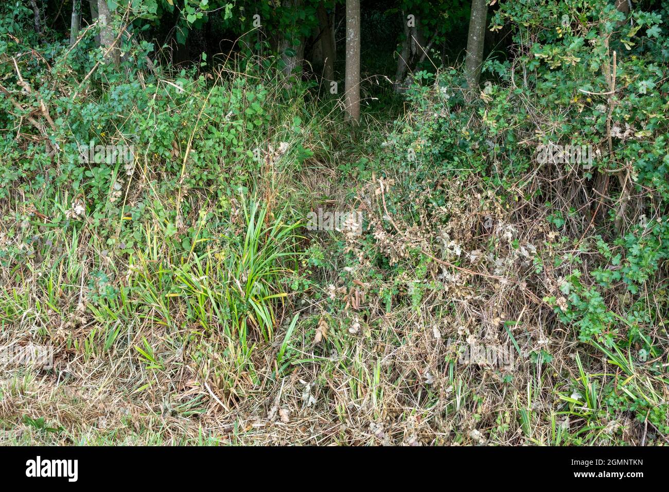 Point de sortie Banque de photographies et d’images à haute résolution ...