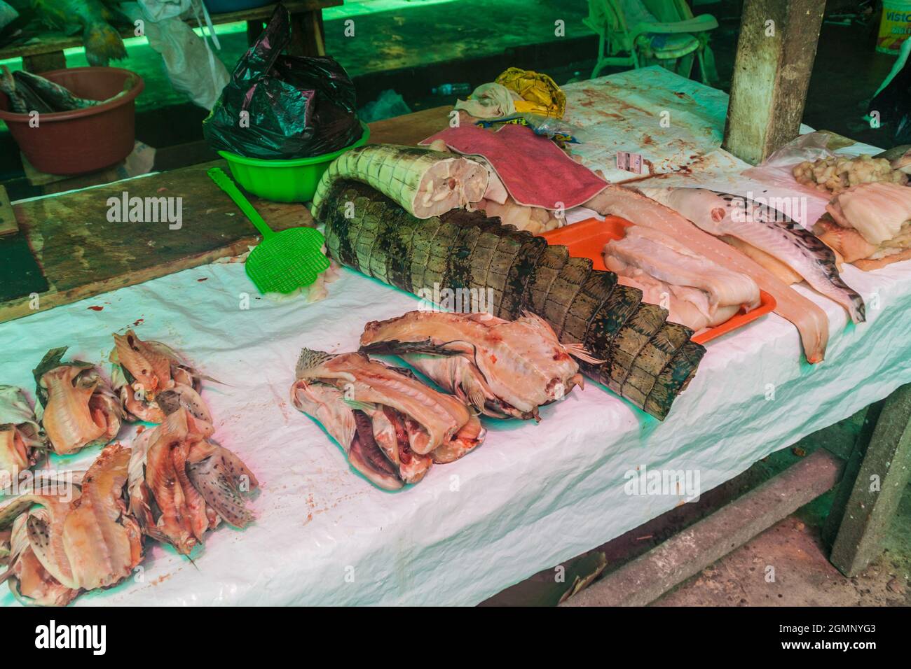 Caiman meat Banque de photographies et d’images à haute résolution - Alamy