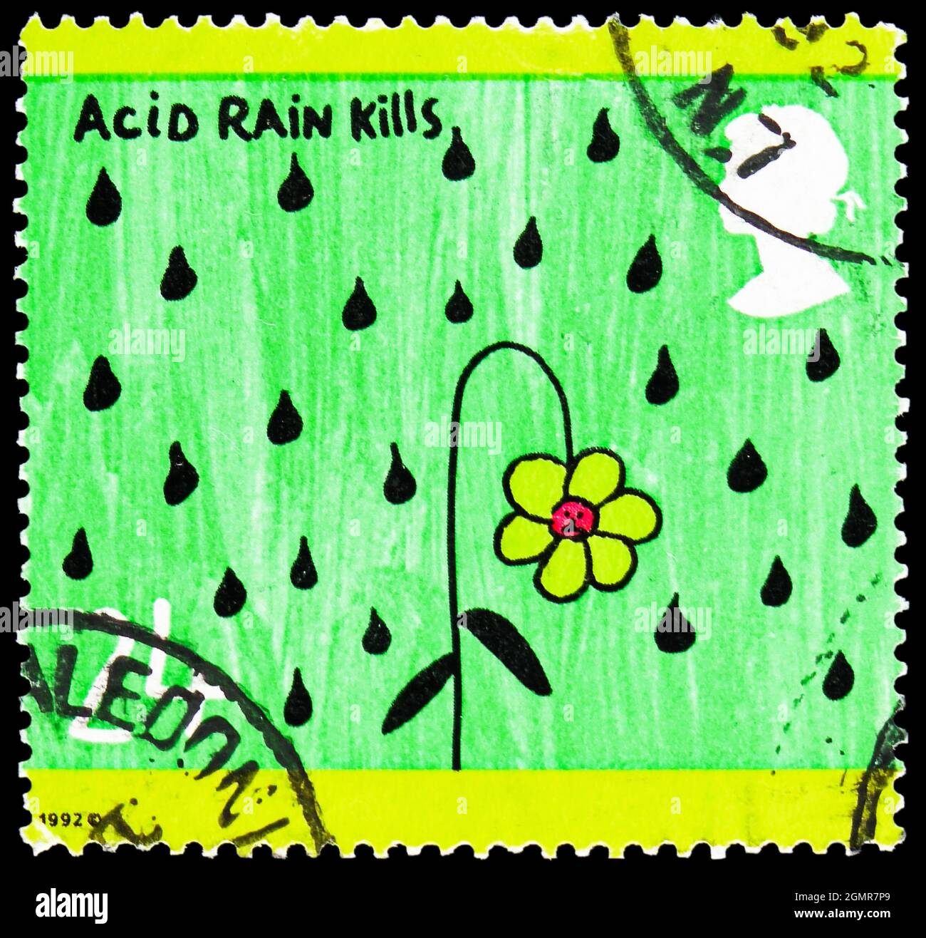 Acid rain kills Banque de photographies et d’images à haute résolution ...