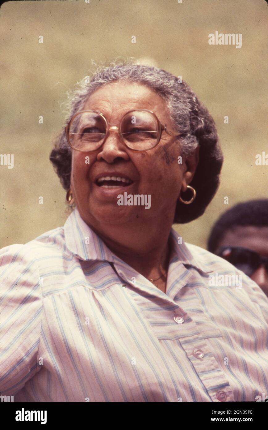 écrivain public Banque de photographies et d’images à haute résolution ...