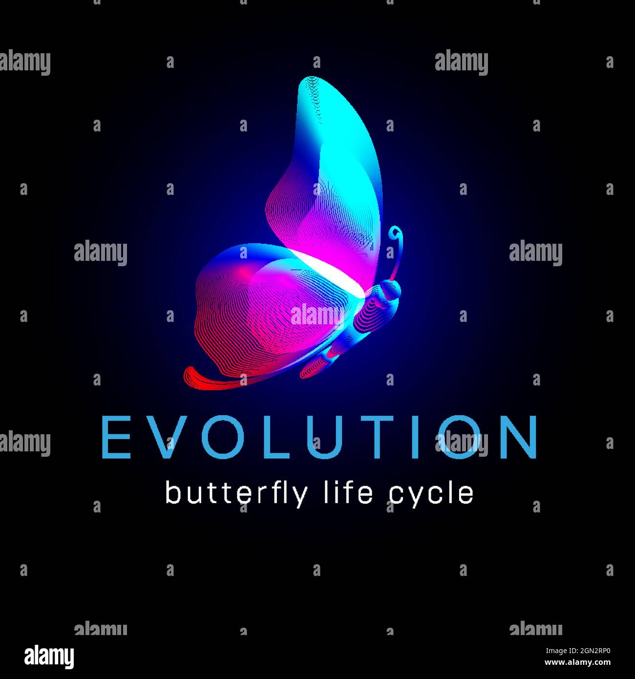Évolution du cycle de vie des papillons. Silhouette élancée au néon ...