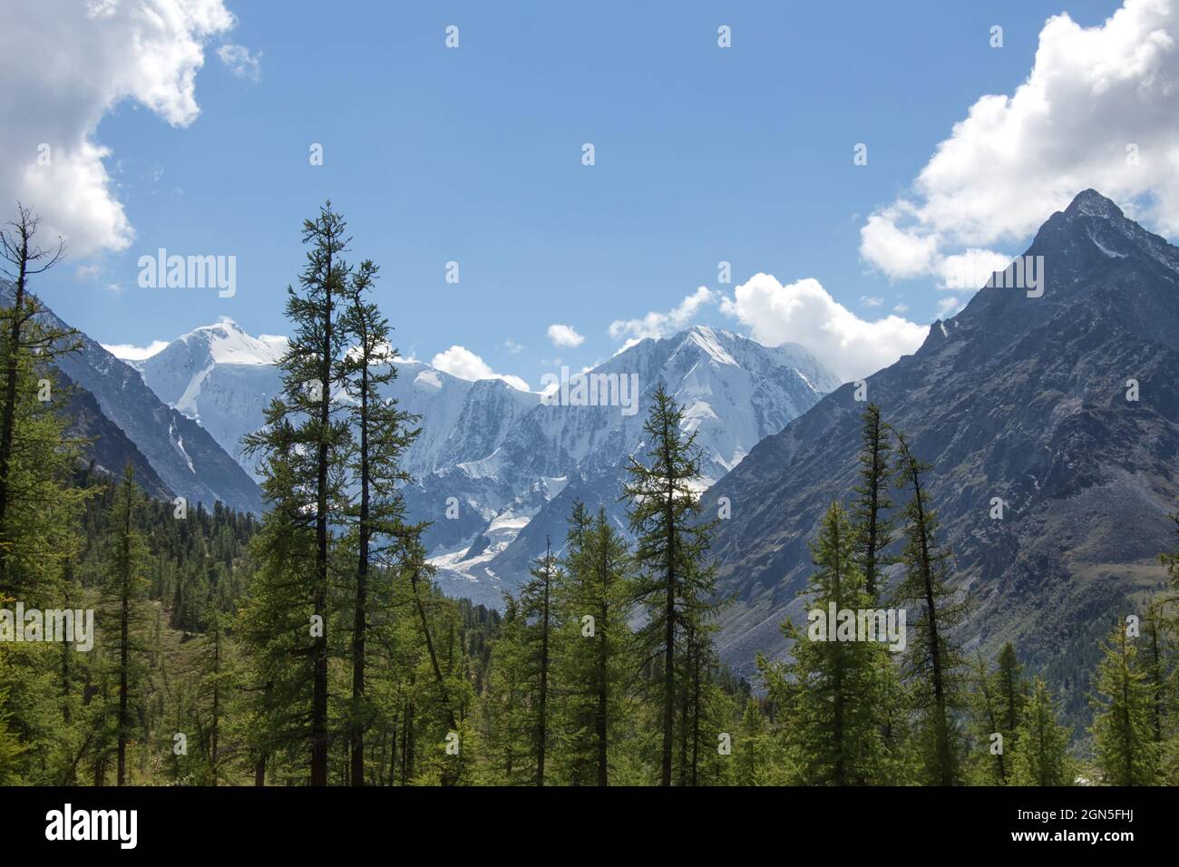 Paysage de collines rocheuses couvertes de verdure sous la lumière du ...