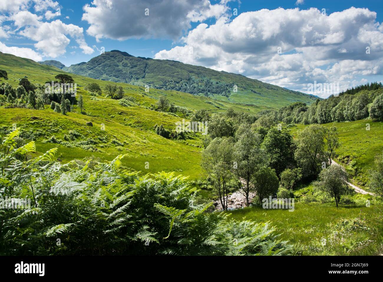 Le long de la West Highland Way en Écosse. Le sentier de randonnée suit ...