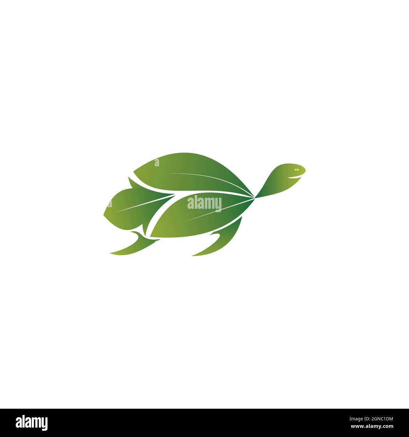 Logo tortue vecteur. Vecteur animal tortue Image Vectorielle Stock - Alamy