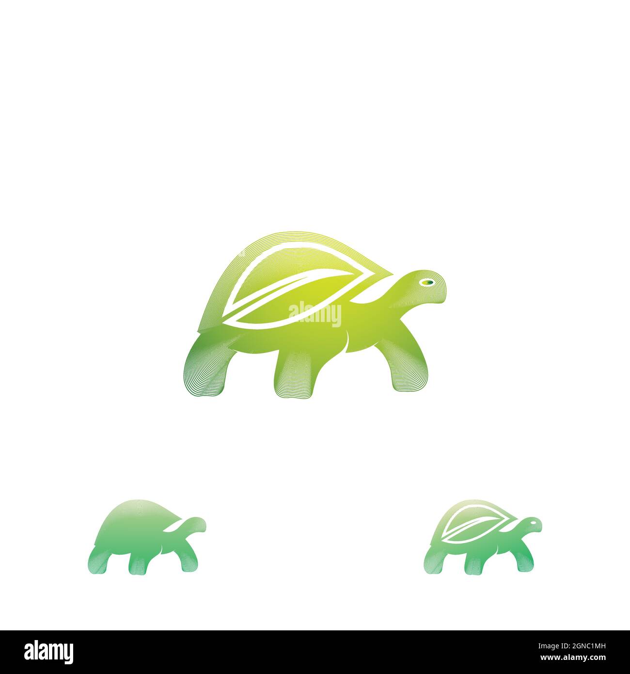 Logos de tortue Banque d'images vectorielles - Alamy