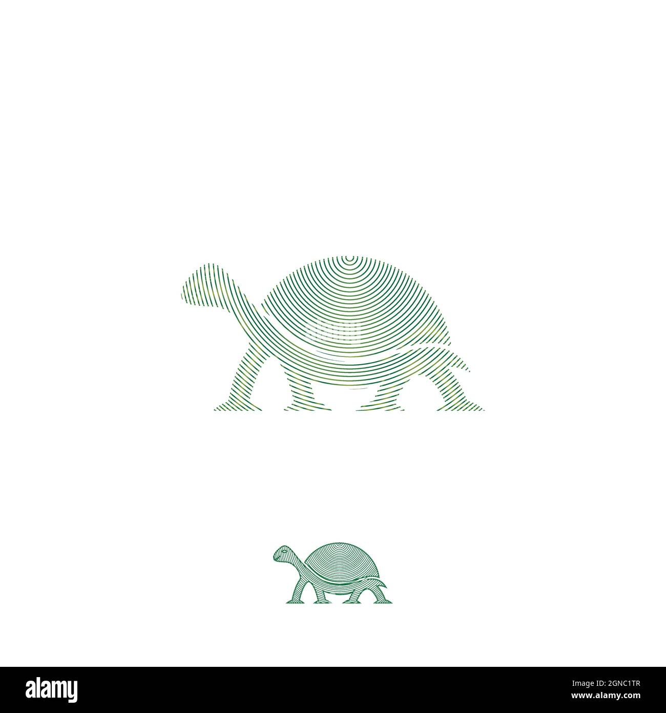 Logos de tortue Banque de photographies et d’images à haute résolution ...