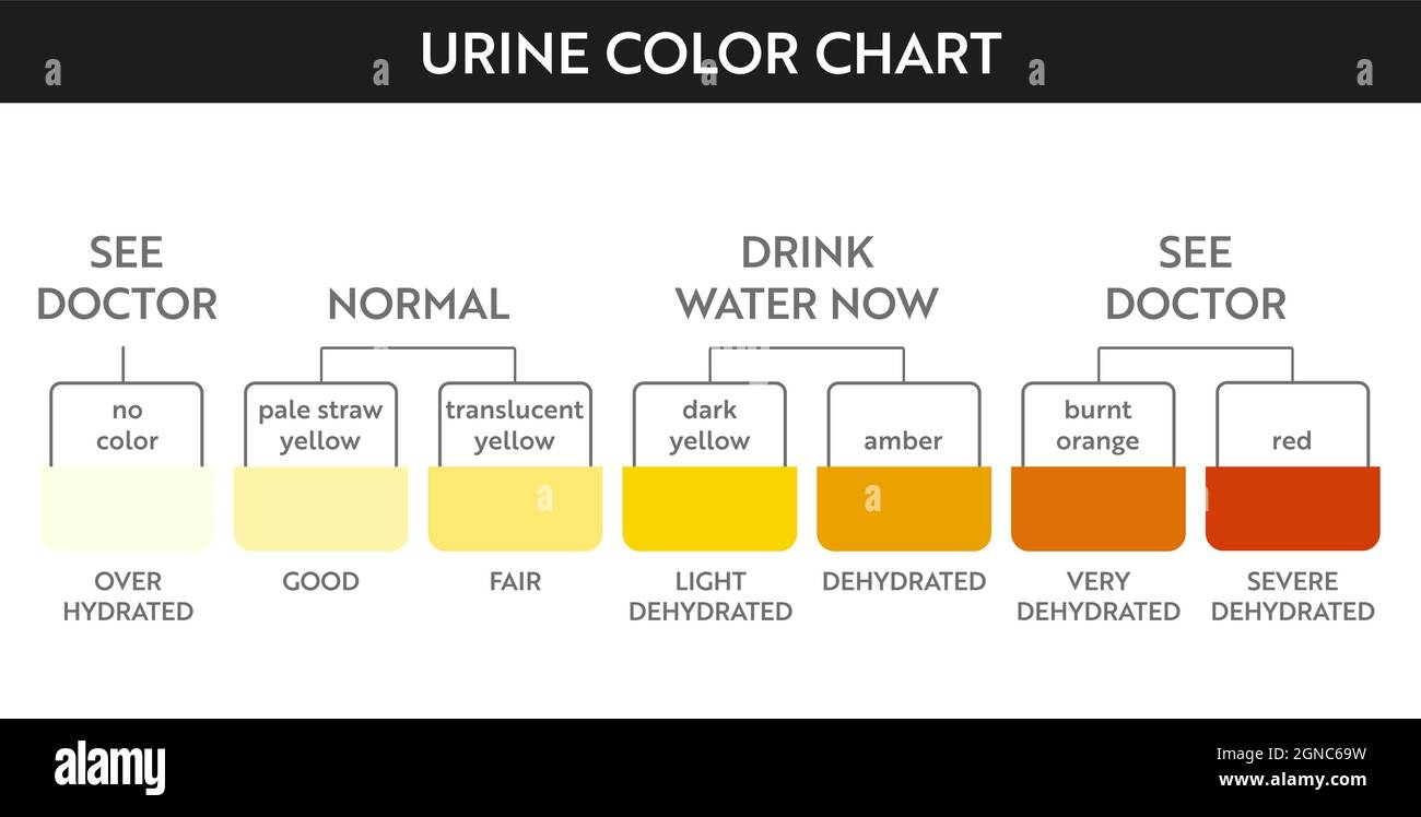 Tableau des couleurs des urines. Bandelette de test d'hydratation et de ...