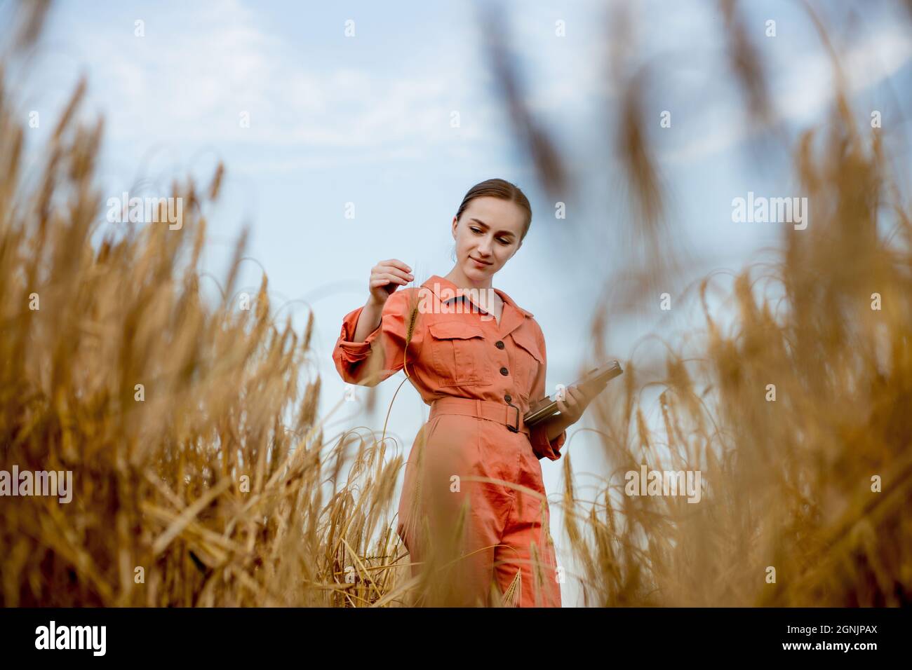 Femme technologue caucasien agronome avec ordinateur de tablette dans ... Femme technologue caucasien agronome avec ordinateur de tablette dans ...