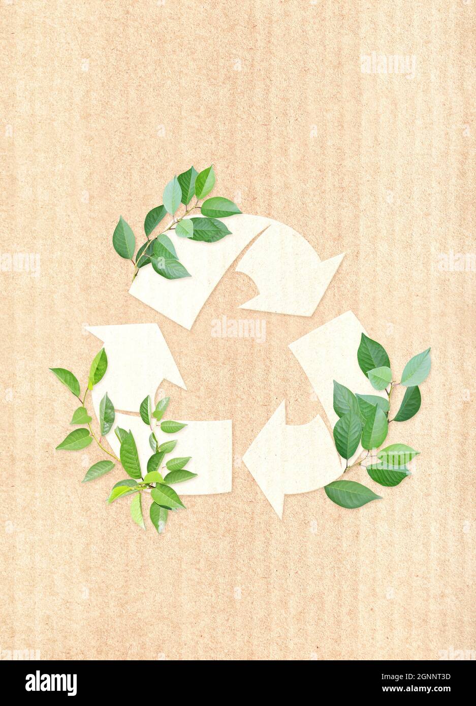 Concept écologique et zéro déchet. Les flèches recyclent le symbole et ...