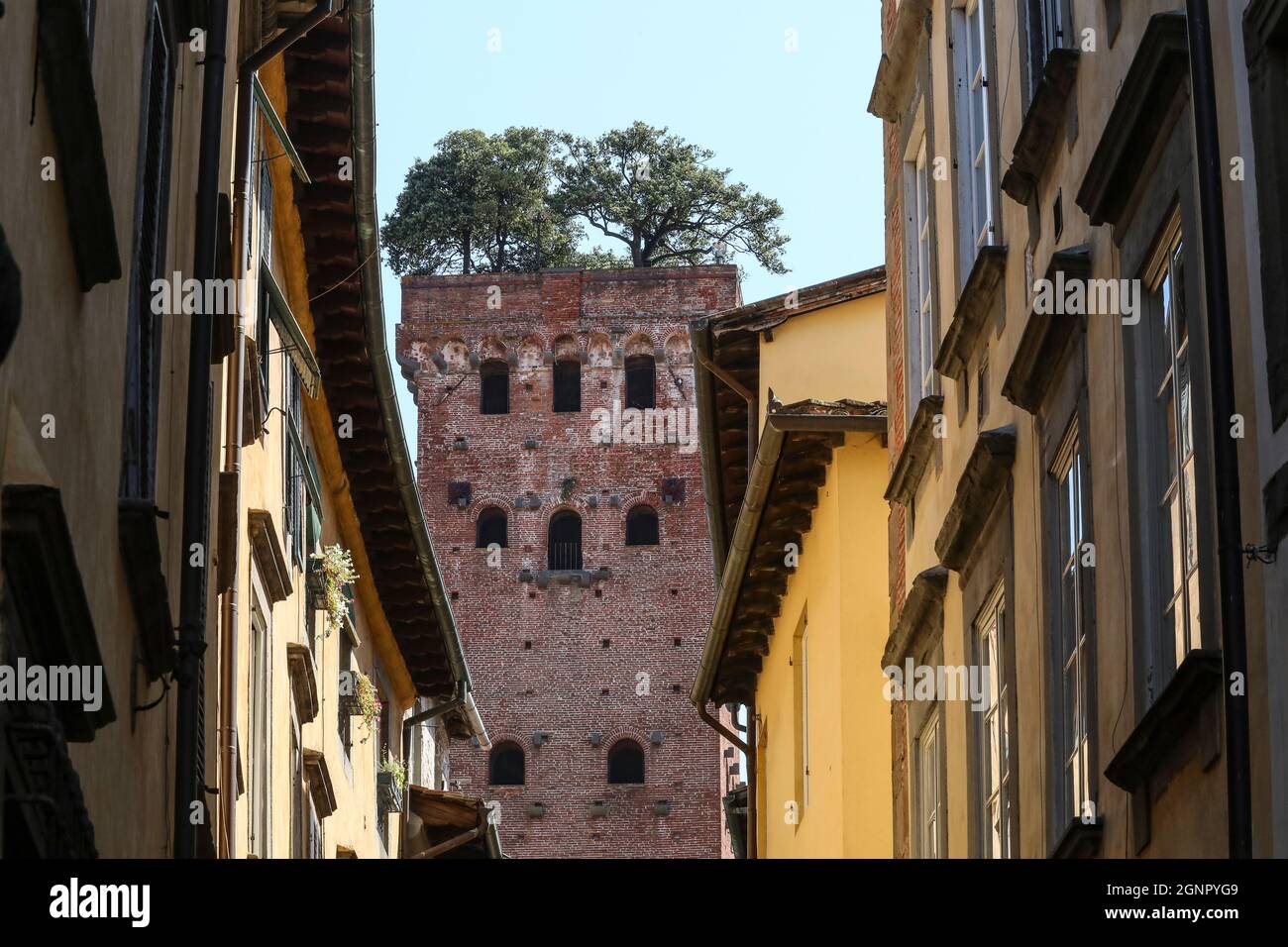Lucca tower trees Banque de photographies et d’images à haute ...