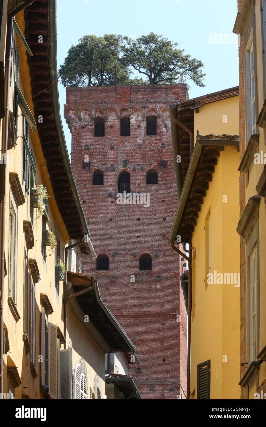 Lucca tower trees Banque de photographies et d’images à haute ...