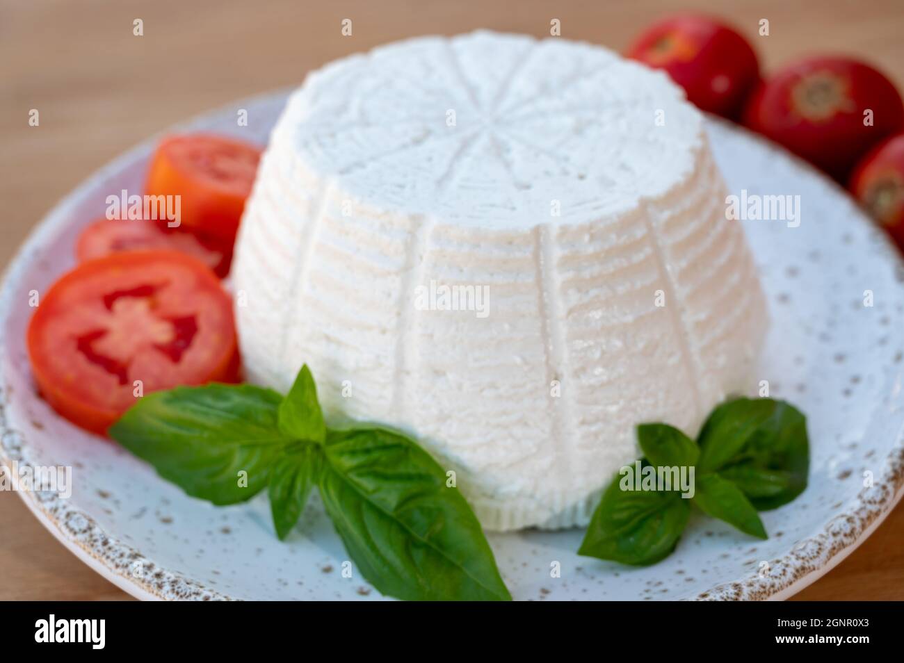 Collection de fromages, ricotta au fromage blanc biologique italien ...
