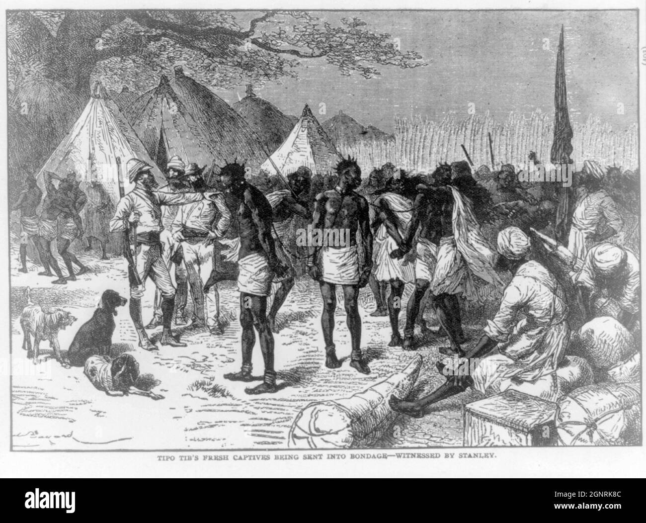 Une illustration ancienne vers 1890 intitulée Tipo Tib's (Tippu Tip ...