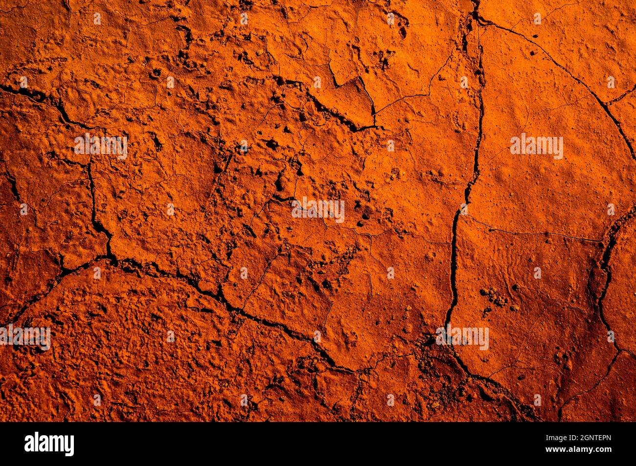 Visitar el desierto de atacama Banque de photographies et d’images à ...