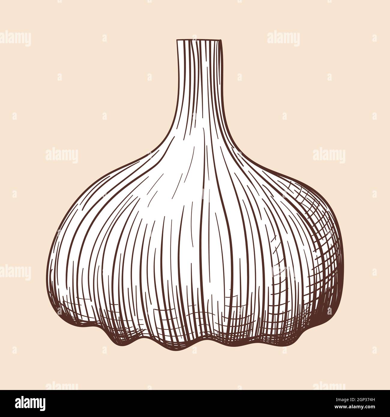 De l'ail cartoon Banque d'images vectorielles - Alamy