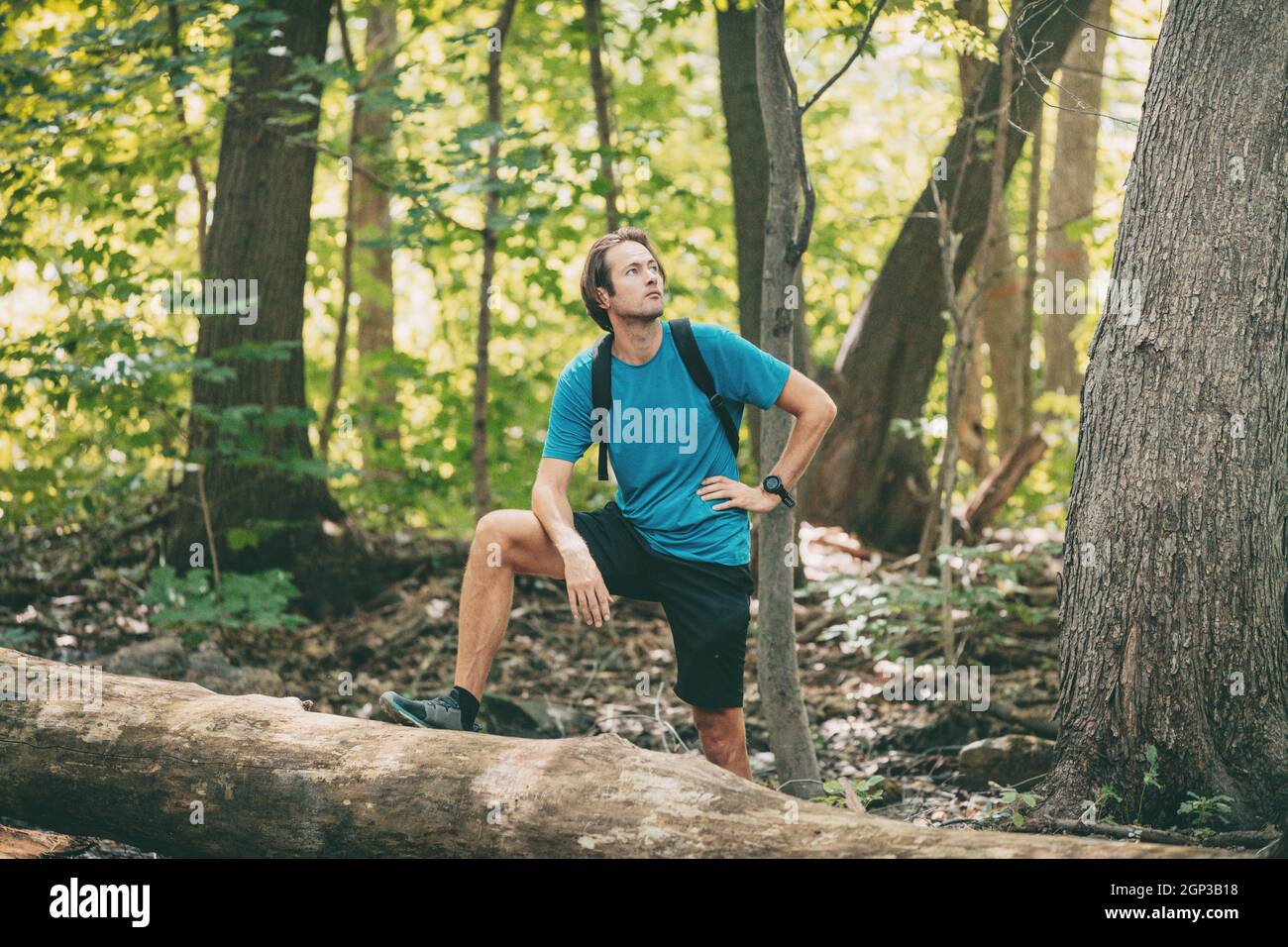 Randonnée pédestre homme randonnée pédestre dans les bois de forêt ...