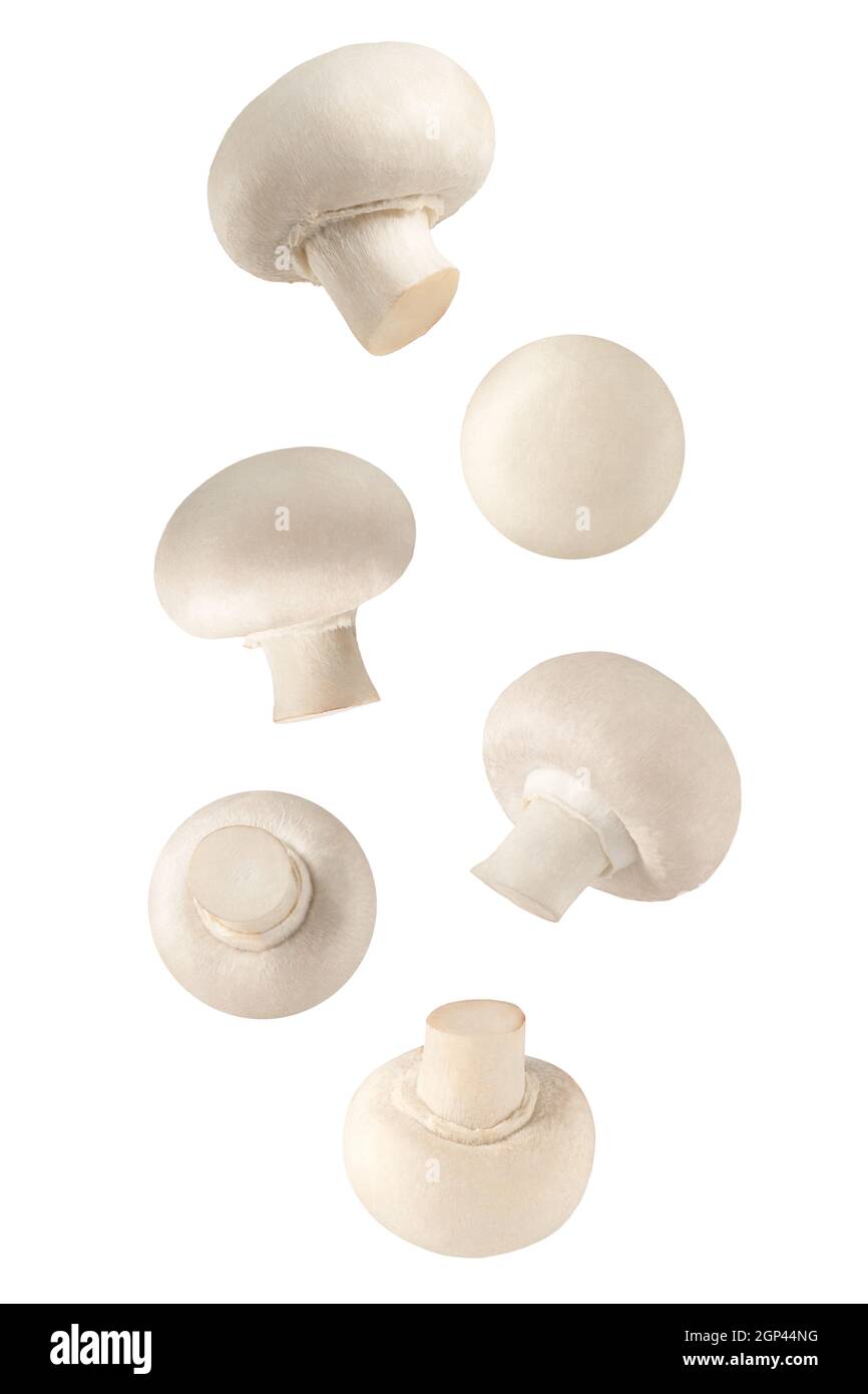 Légumes isolés. Six champignons champagnes entiers tombent avec un ...