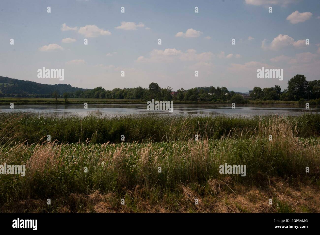 un étang pour l'élevage de poissons et l'élevage de poissons, l'élevage ...