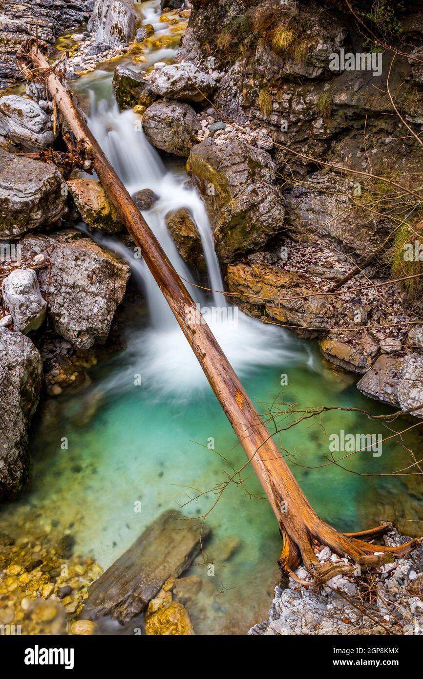PARC NATIONAL DE TRIGLAV, SLOVÉNIE. UNE CASCADE DANS LE PARC NATIONAL ...