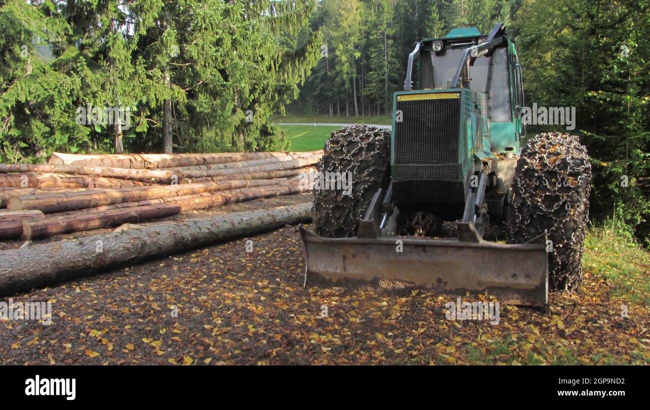 Tree skidder Banque de photographies et d’images à haute résolution - Alamy