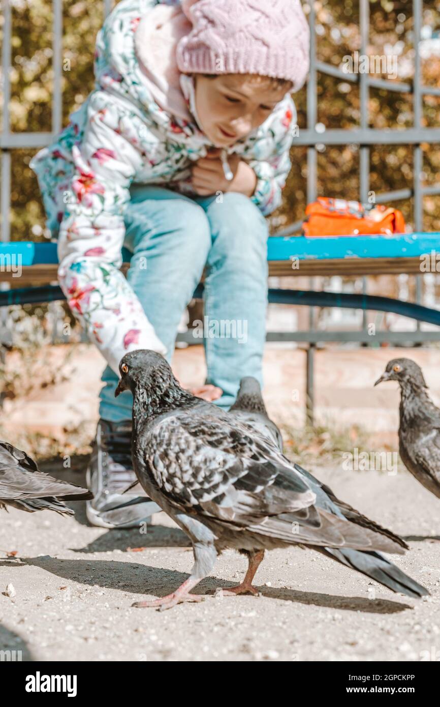 Parc des émotions Banque de photographies et d’images à haute ...