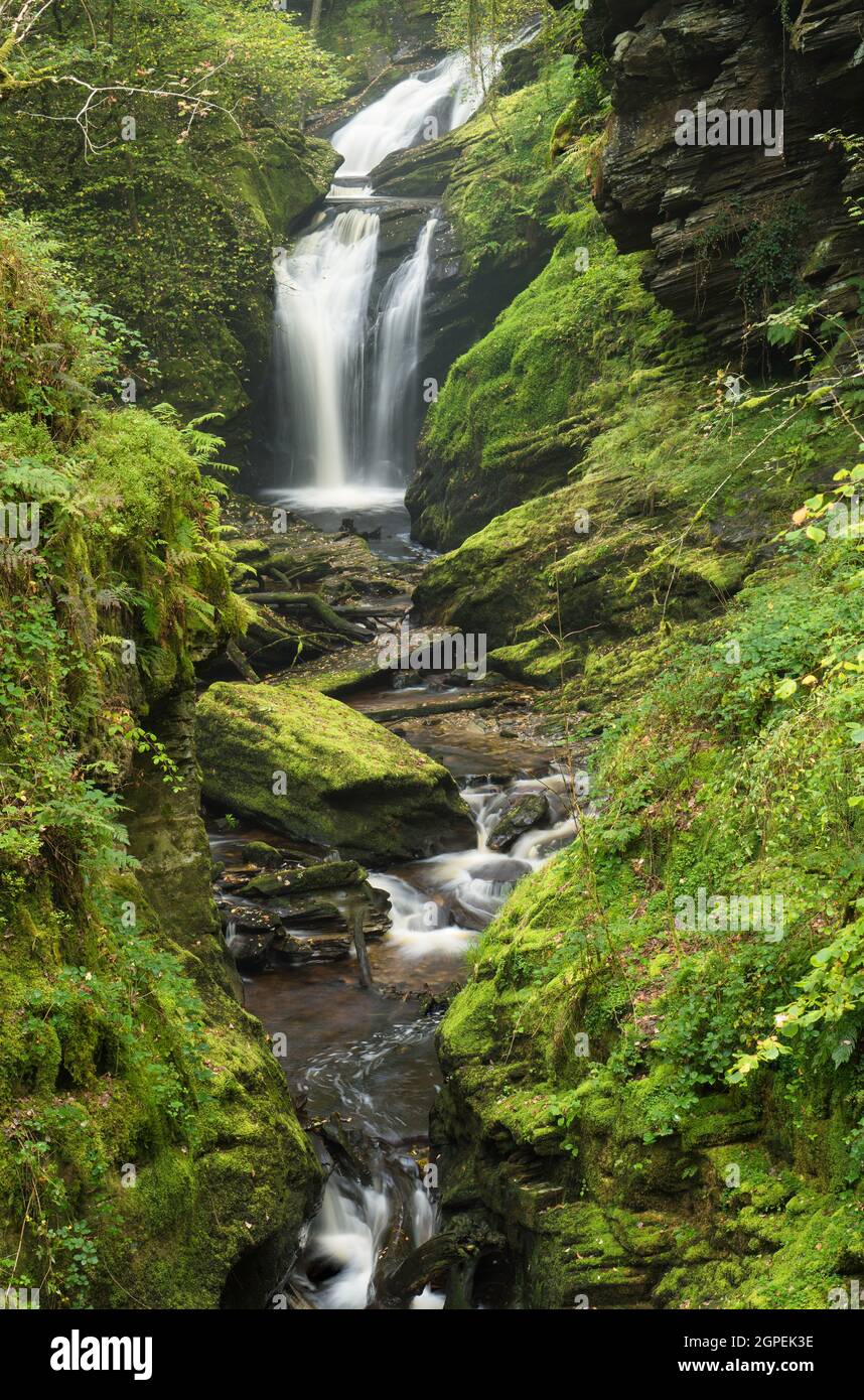 Cascade de ravin Banque de photographies et d’images à haute résolution ...