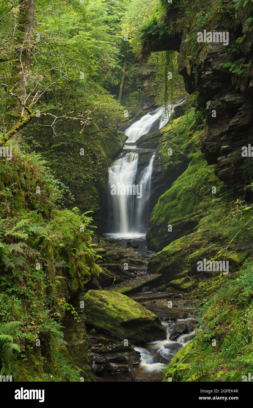 Cascade de ravin Banque de photographies et d’images à haute résolution ...