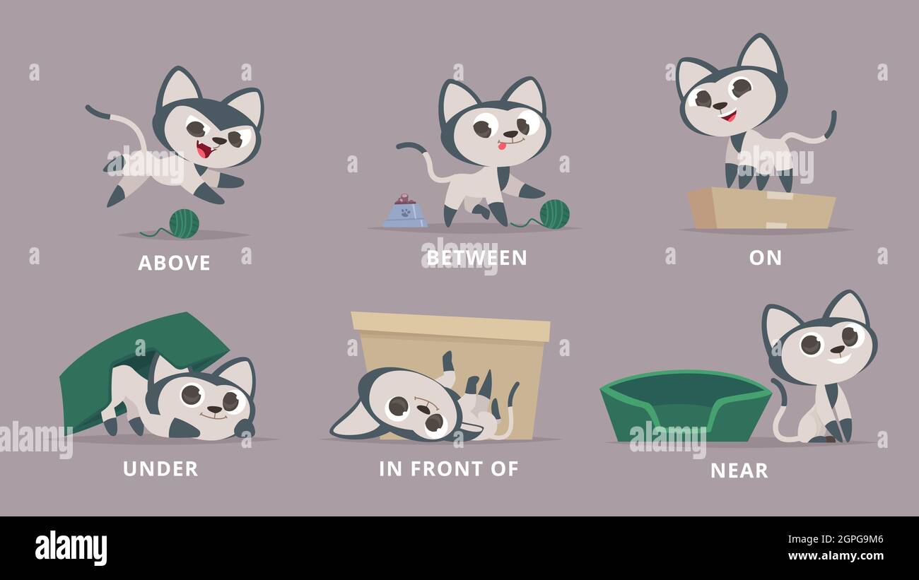 Prépositions. Chat jouant avec l'apprentissage de boîte prépositions en ...