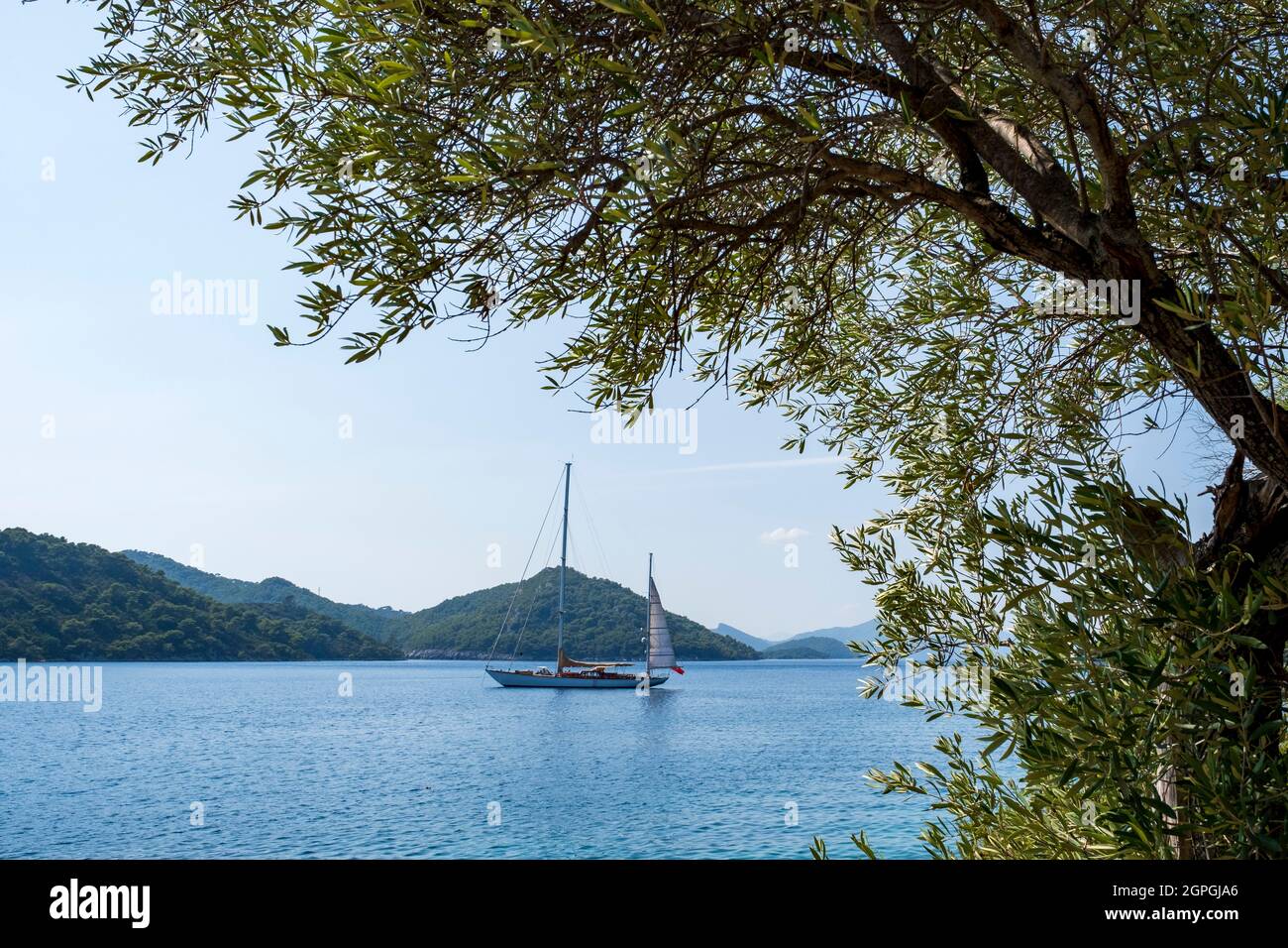 Croatie, Dalmatie, Iles Elaphites, Ile de Sipan, le port de Sipanska ...