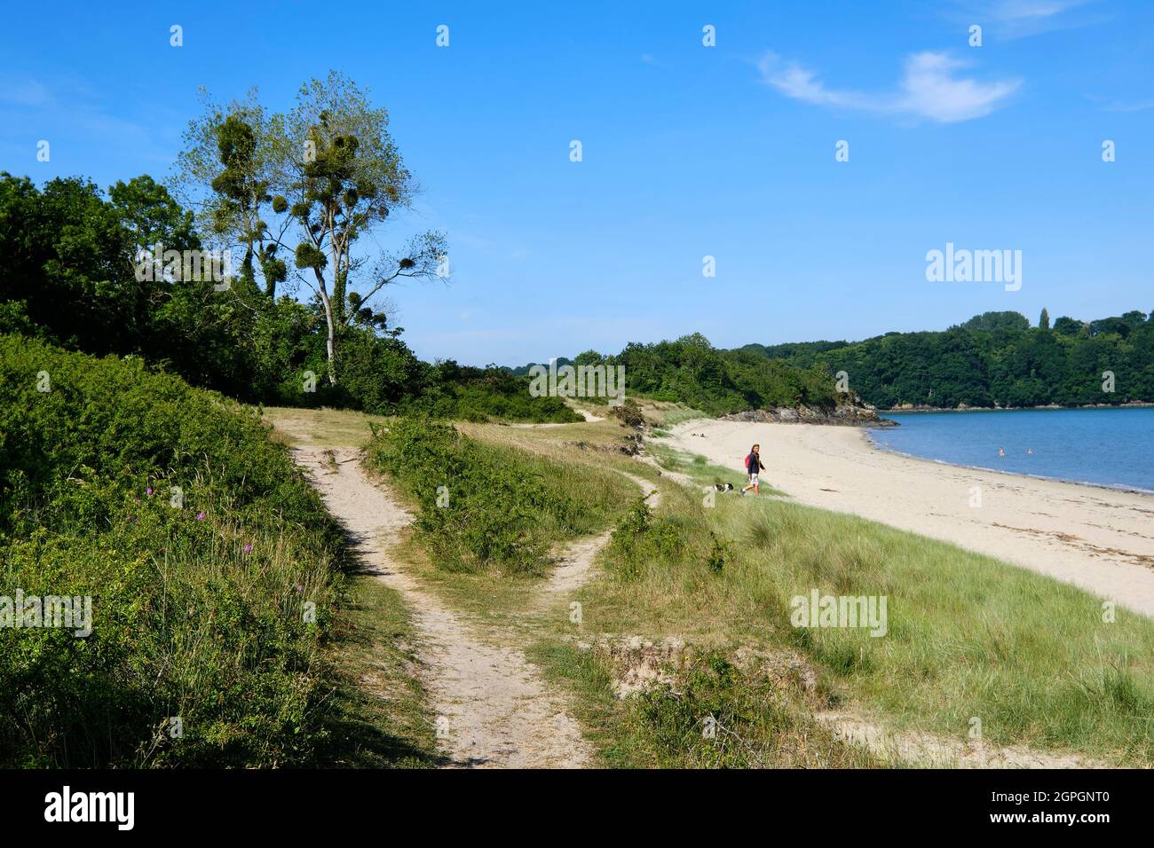 France, Côtes d'Armor, Côte d'Emeraude, Saint Jacut de la Mer, sentier ...