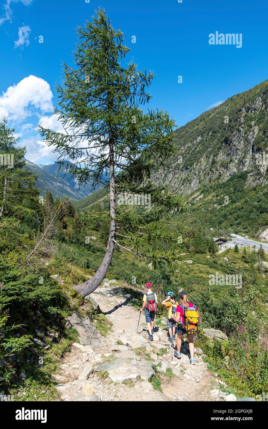 France, haute-Savoie (74), Chamonix-Mont-blanc, massif des aiguilles ...