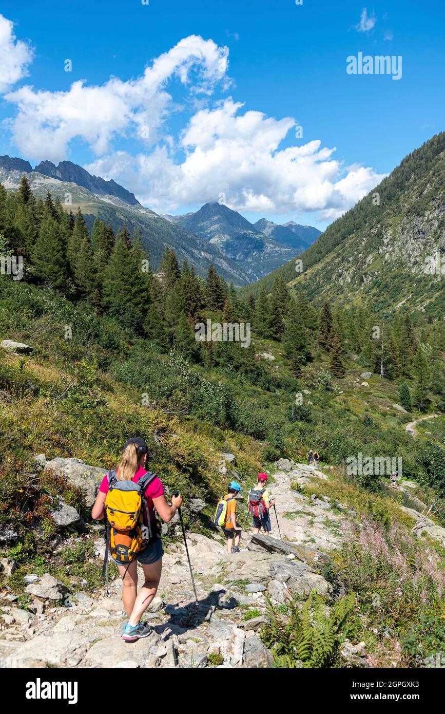 France, haute-Savoie (74), Chamonix-Mont-blanc, massif des aiguilles ...