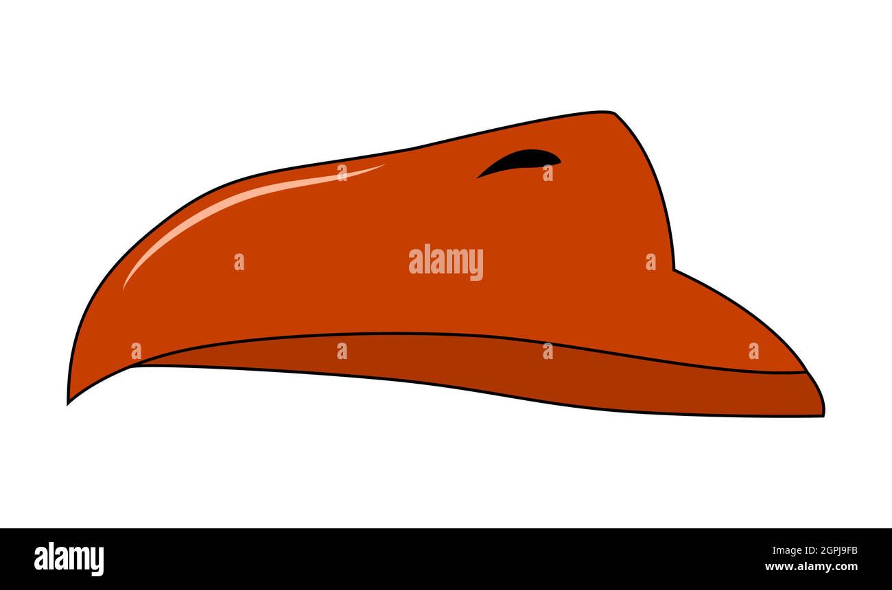 Bec de vecteur d'oiseau. Illustration de dessin animé isolée sur blanc ...