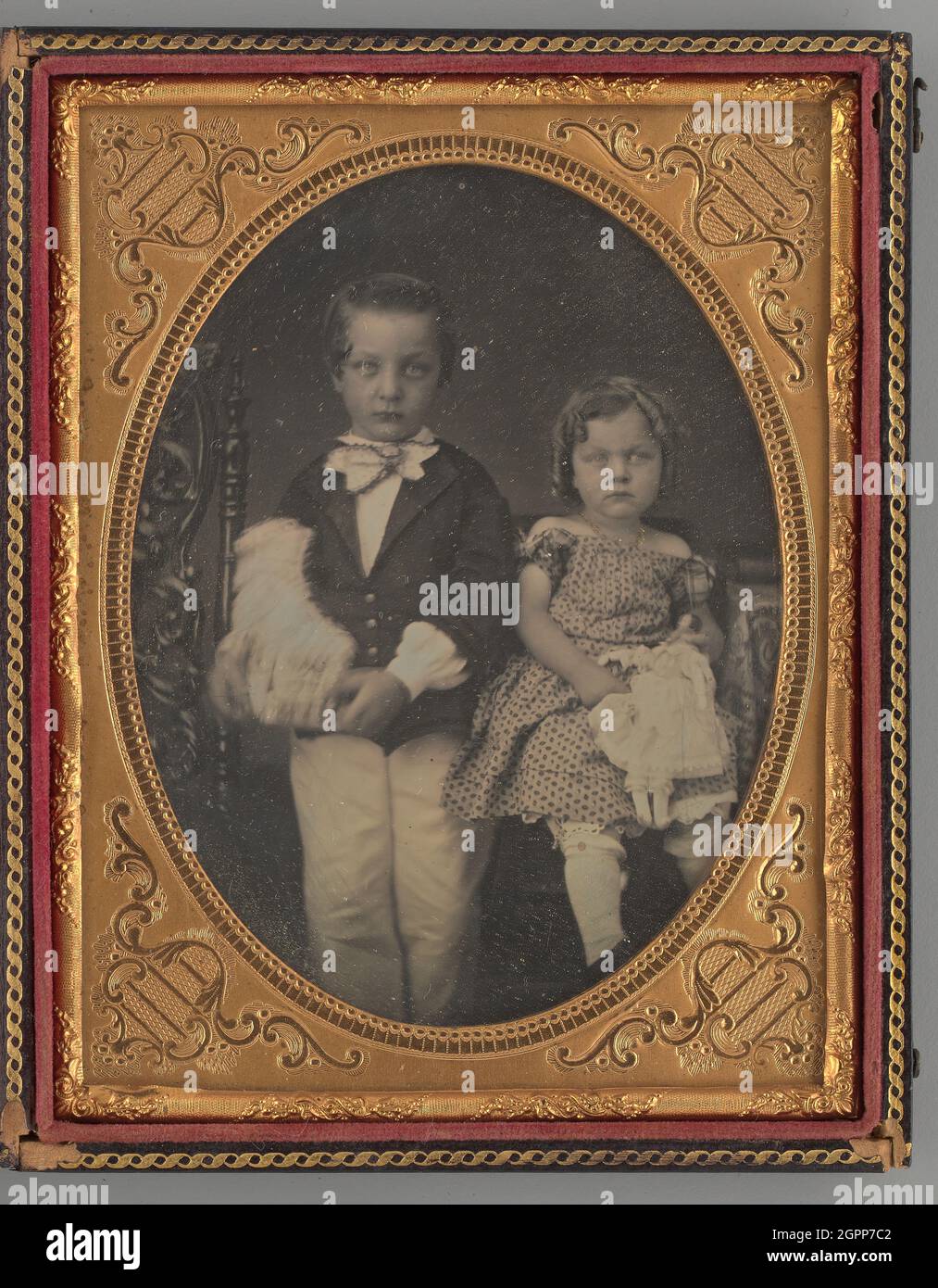 Anson rufus Banque de photographies et d’images à haute résolution - Alamy