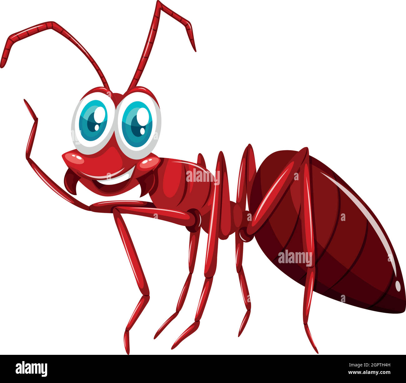 Fourmi rouge Banque d'images vectorielles - Alamy