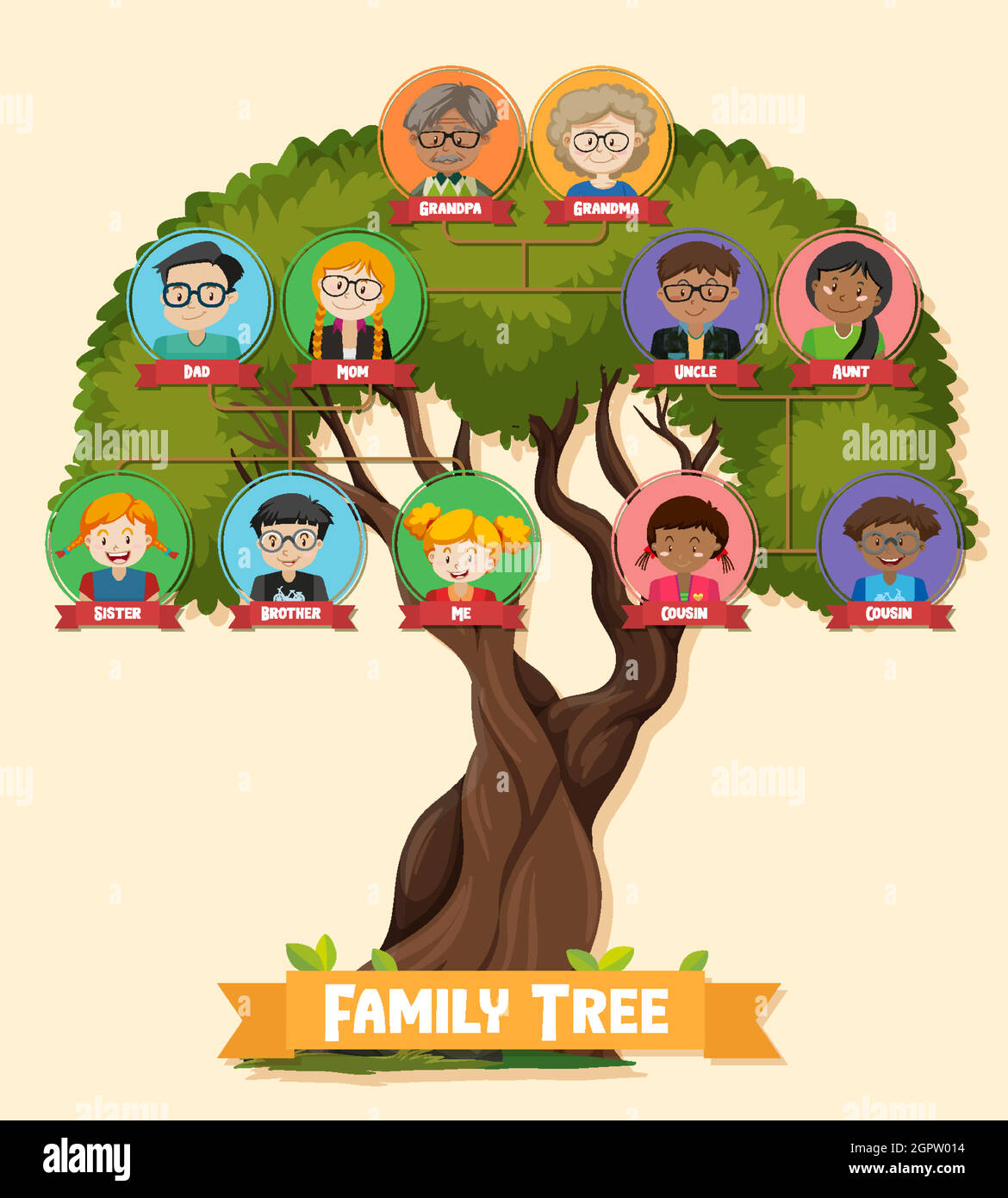 Schéma montrant l'arbre de famille de trois générations Image ...