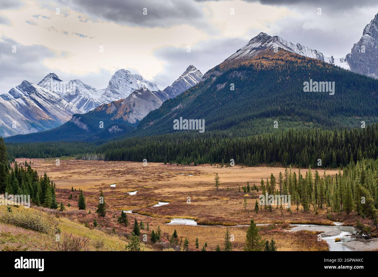 Mount murray Banque de photographies et d’images à haute résolution - Alamy