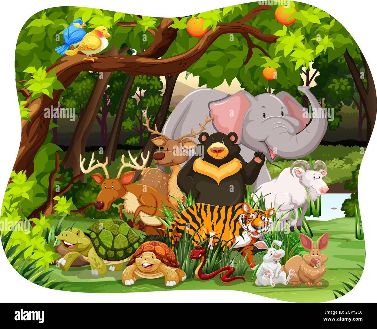 Faune photo Banque d'images vectorielles - Alamy