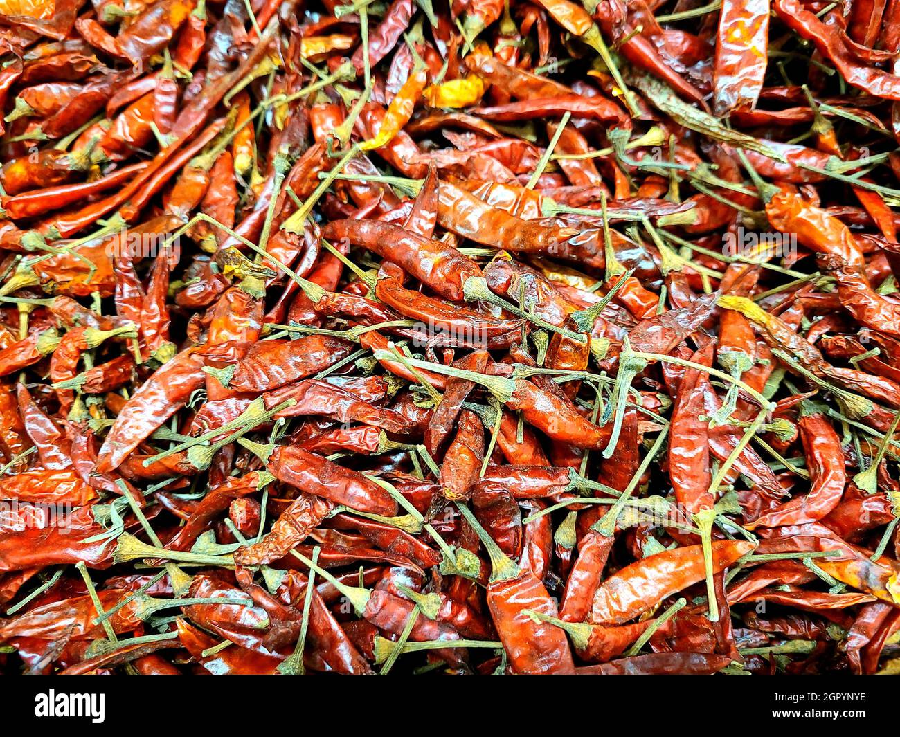 Champ de piment thailand Banque de photographies et d’images à haute ...