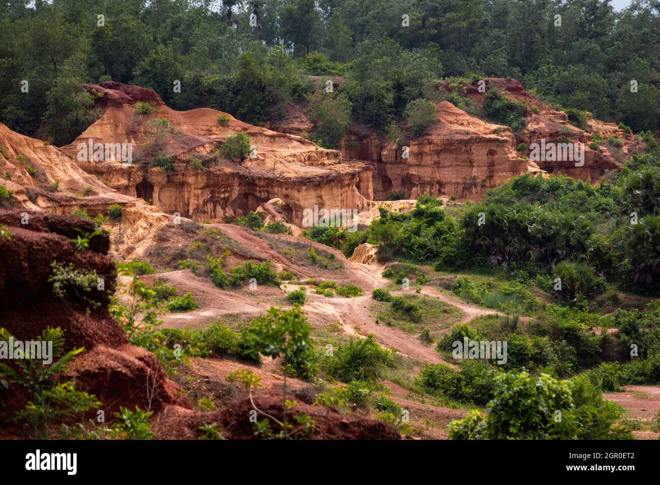 Gangani Banque de photographies et d’images à haute résolution - Alamy