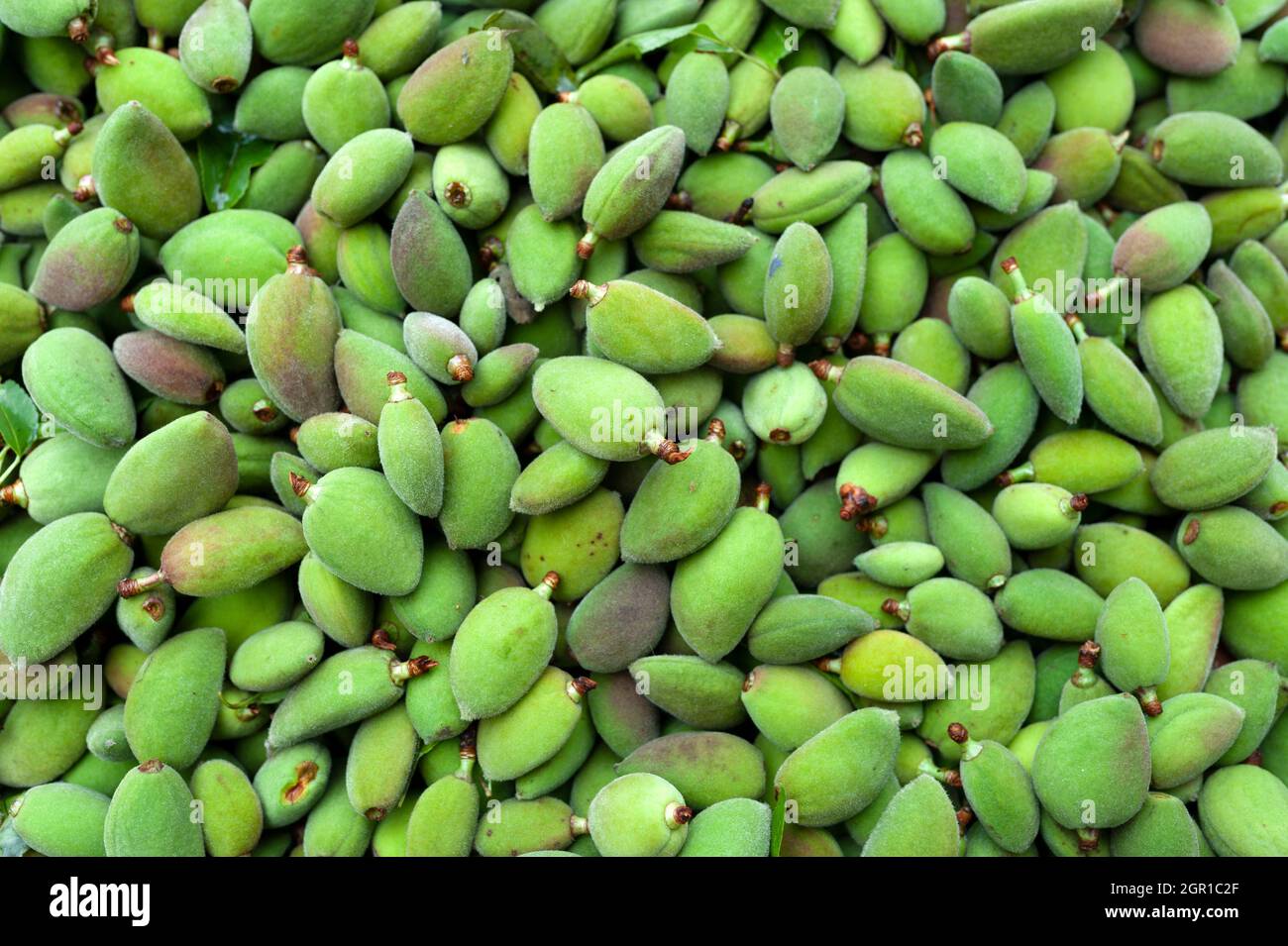 Fruit vert Banque de photographies et d’images à haute résolution - Alamy