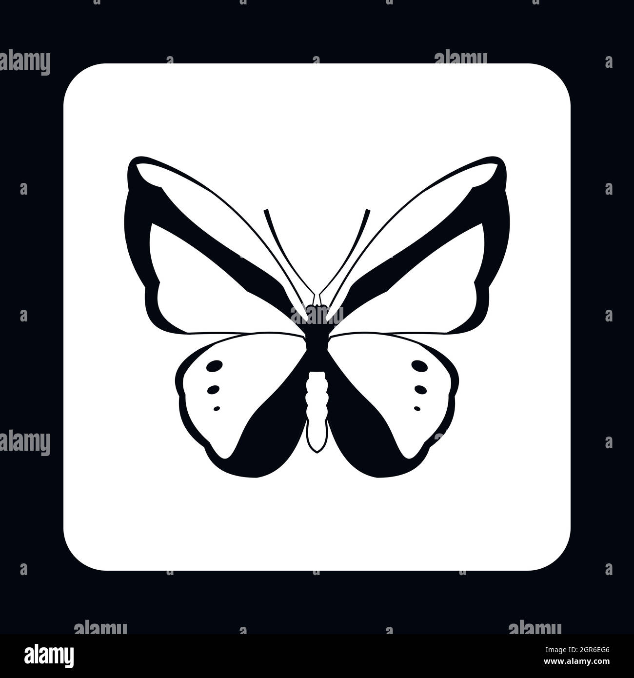 Ailes d'insectes Banque d'images vectorielles - Alamy