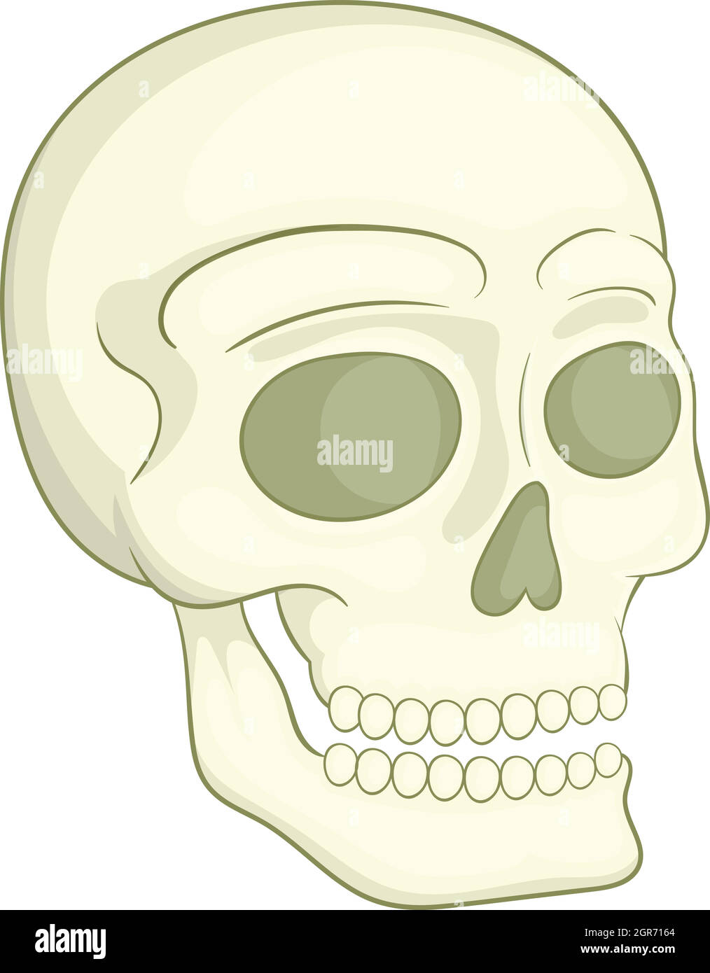 Modelo de esqueleto humano Banque d'images vectorielles - Alamy