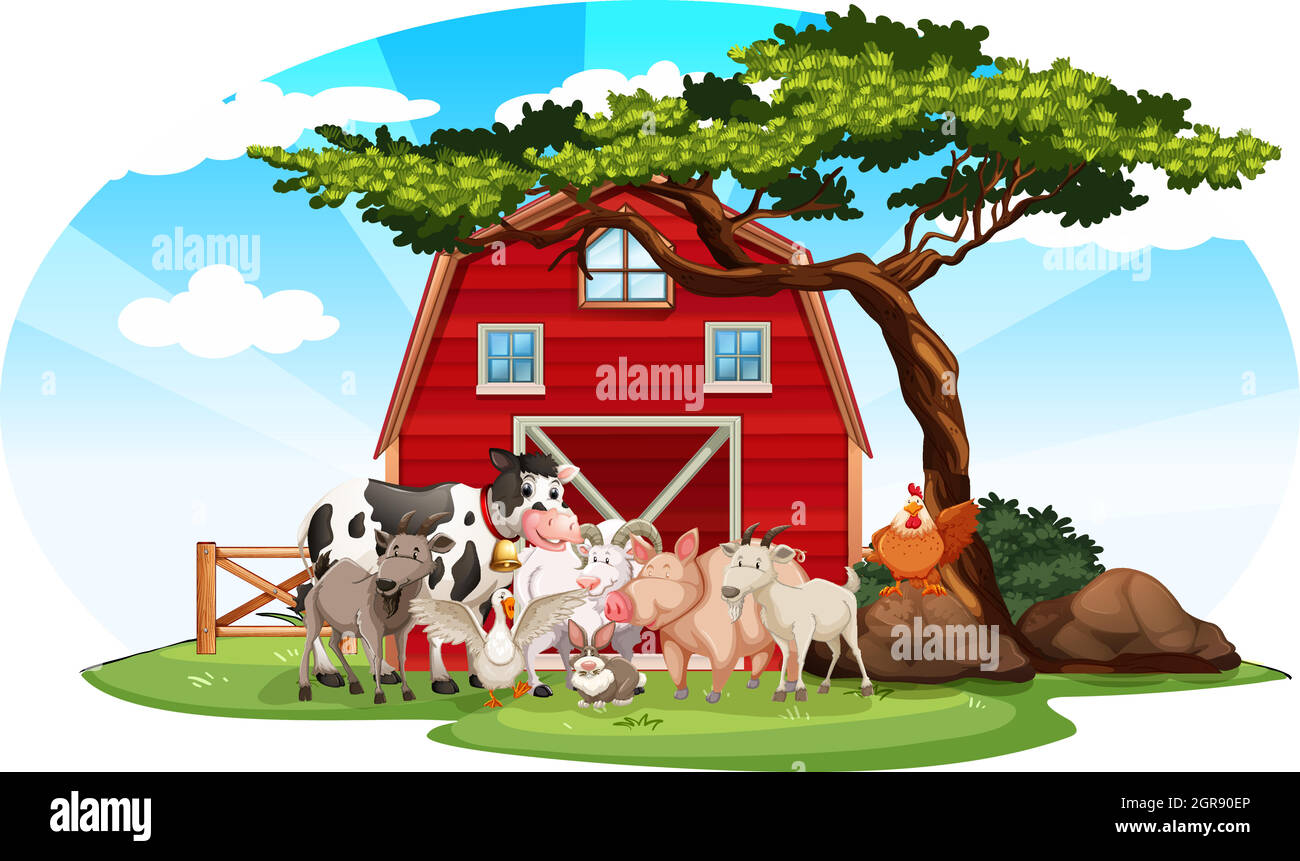 Animaux de la ferme lapin Banque d'images vectorielles - Alamy