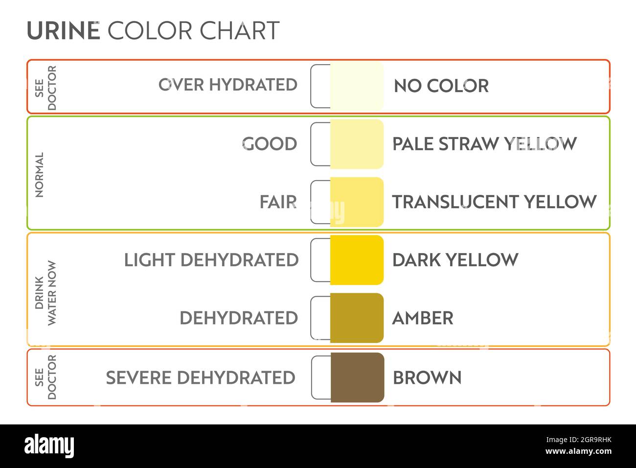 Tableau des couleurs des urines. Bandelette de test d'hydratation et de ...