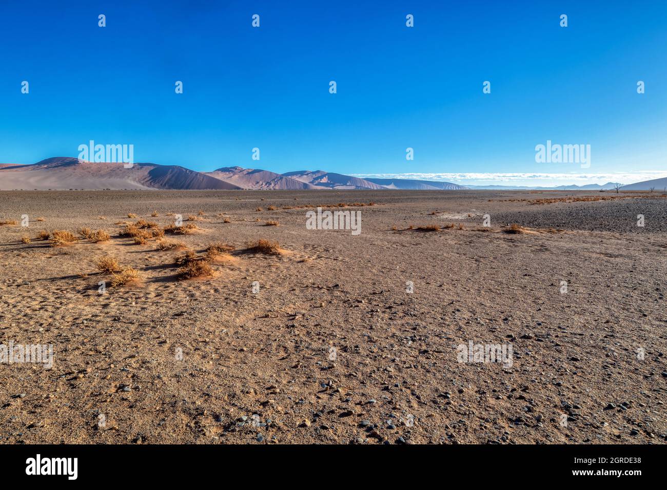 Arid zone Banque de photographies et d’images à haute résolution - Alamy
