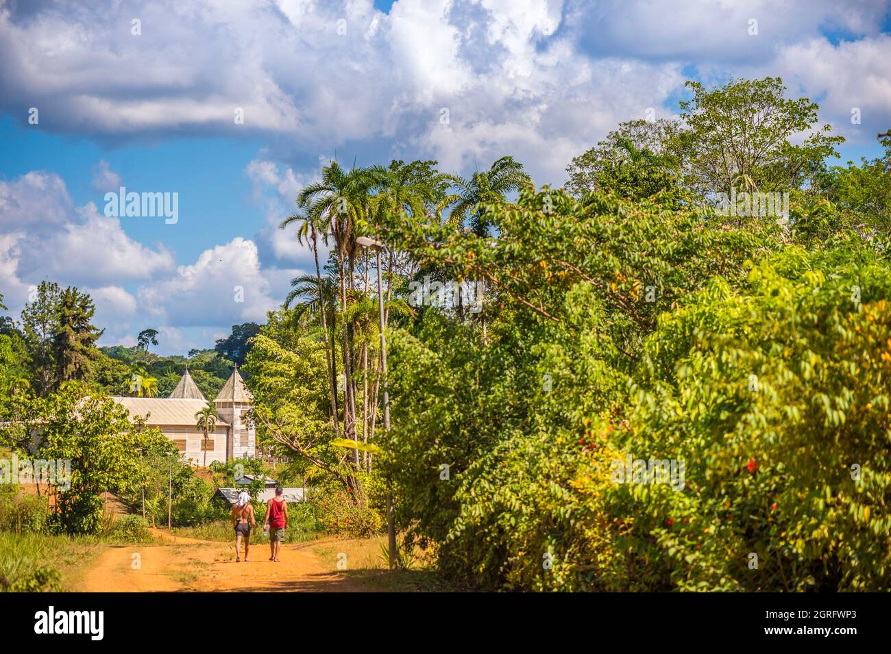 France, Guyane française, Saül, Parc Amazonien de Guyane, piste menant ...
