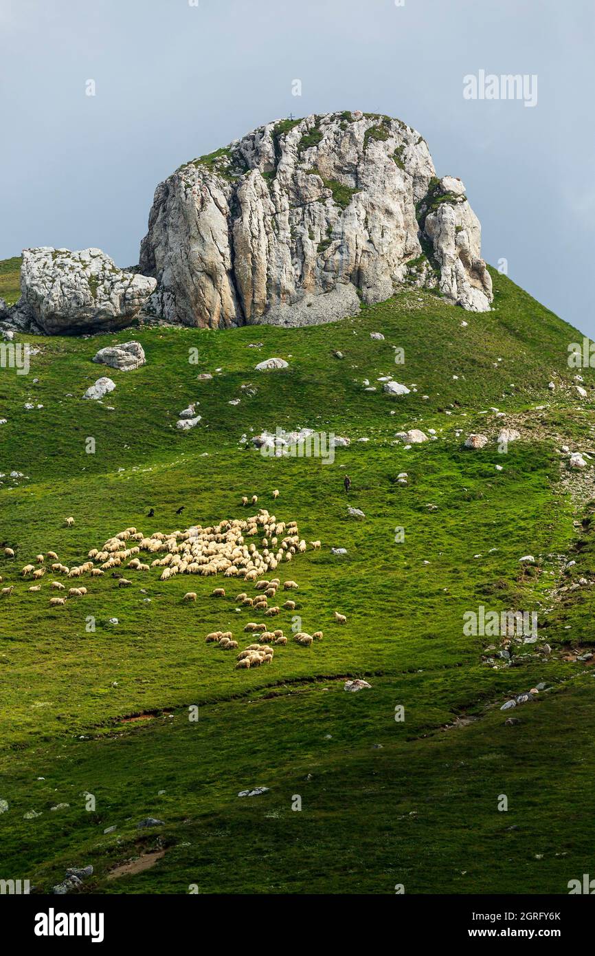 Parc naturel de bucegi Banque de photographies et d’images à haute résolution - Alamy