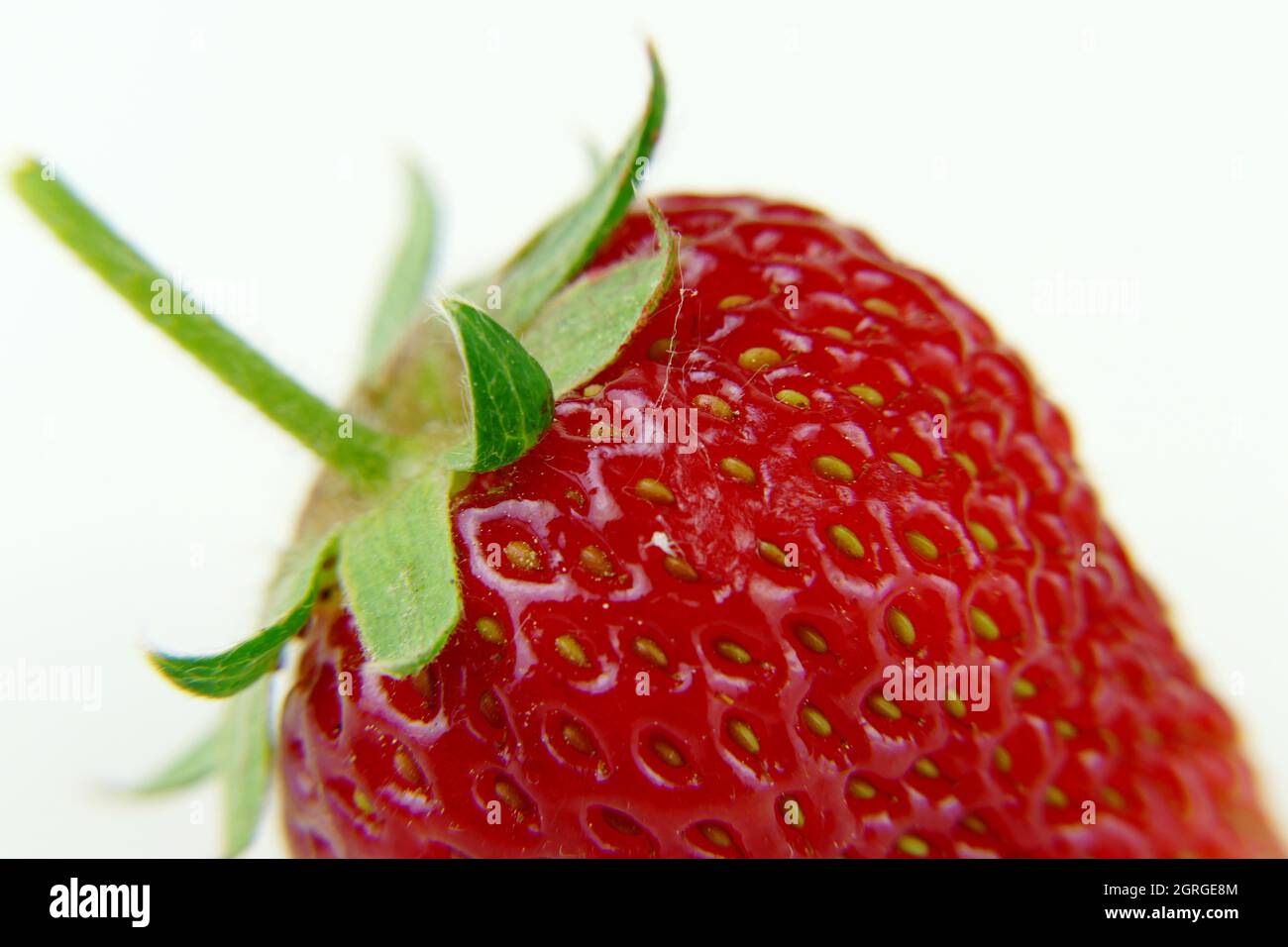 Fraise pourrie Banque de photographies et d’images à haute résolution ...